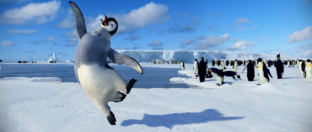 Strange Culture The Pop Culture Of Penguins